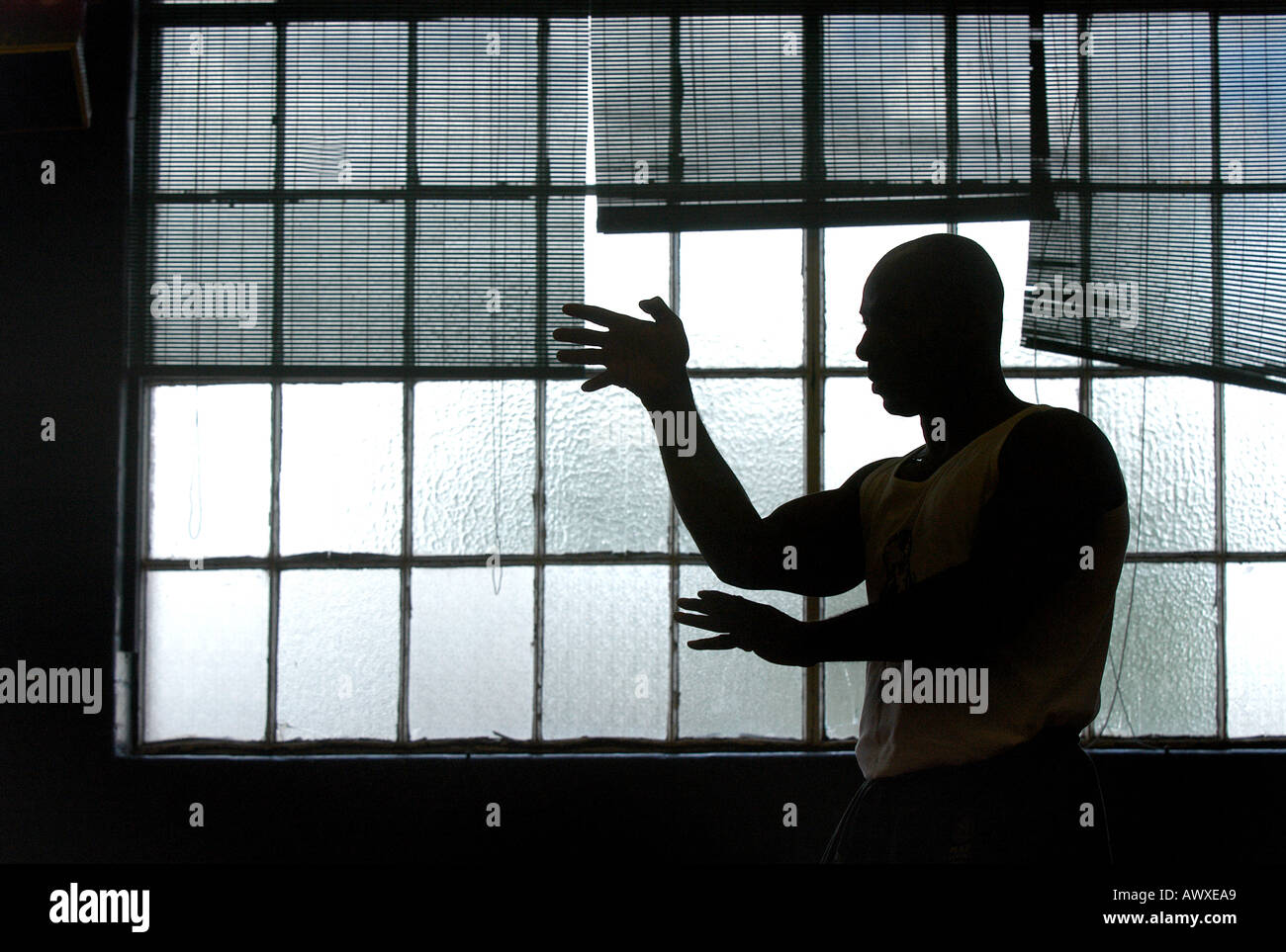 Praying Mantis Kung Fu Stock Photo - Alamy