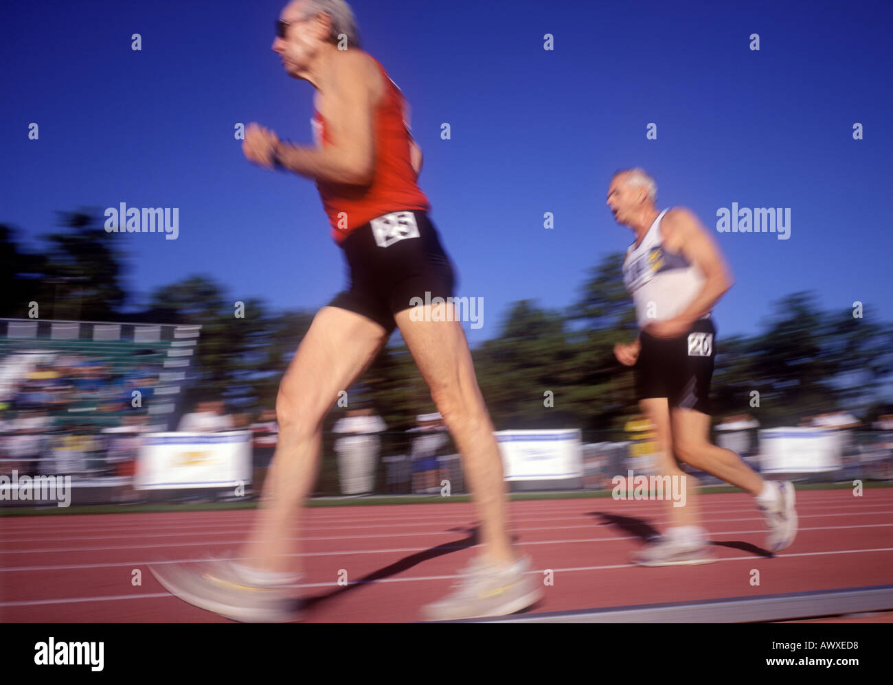 Competitors in the over 65 years 5km race walk National senoir Games ...