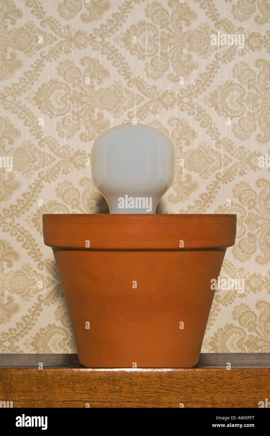 light bulb growing in flower pot Stock Photo - Alamy
