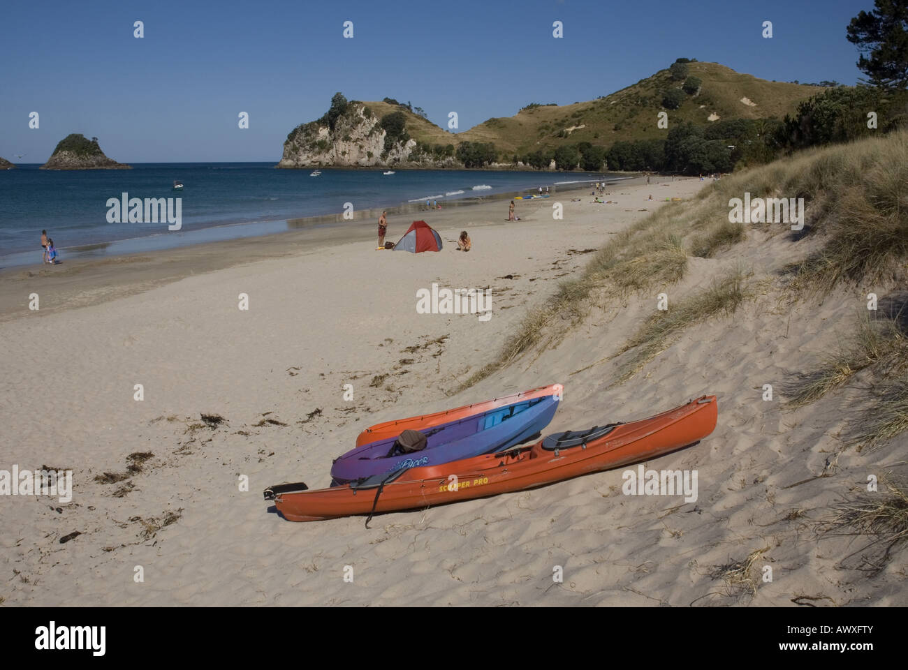 Hahei Beach on the Coromandel Peninsular New Zealand Stock Photo - Alamy