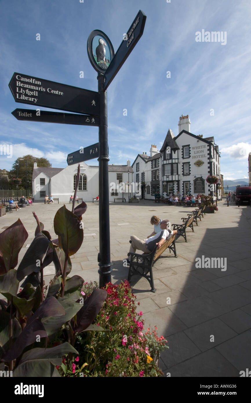 Blue Square With White Lion Logo