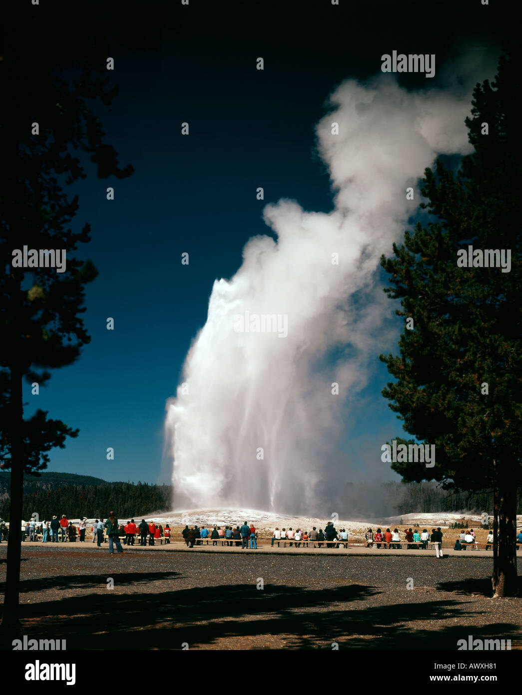 Spurts of water hi-res stock photography and images - Alamy