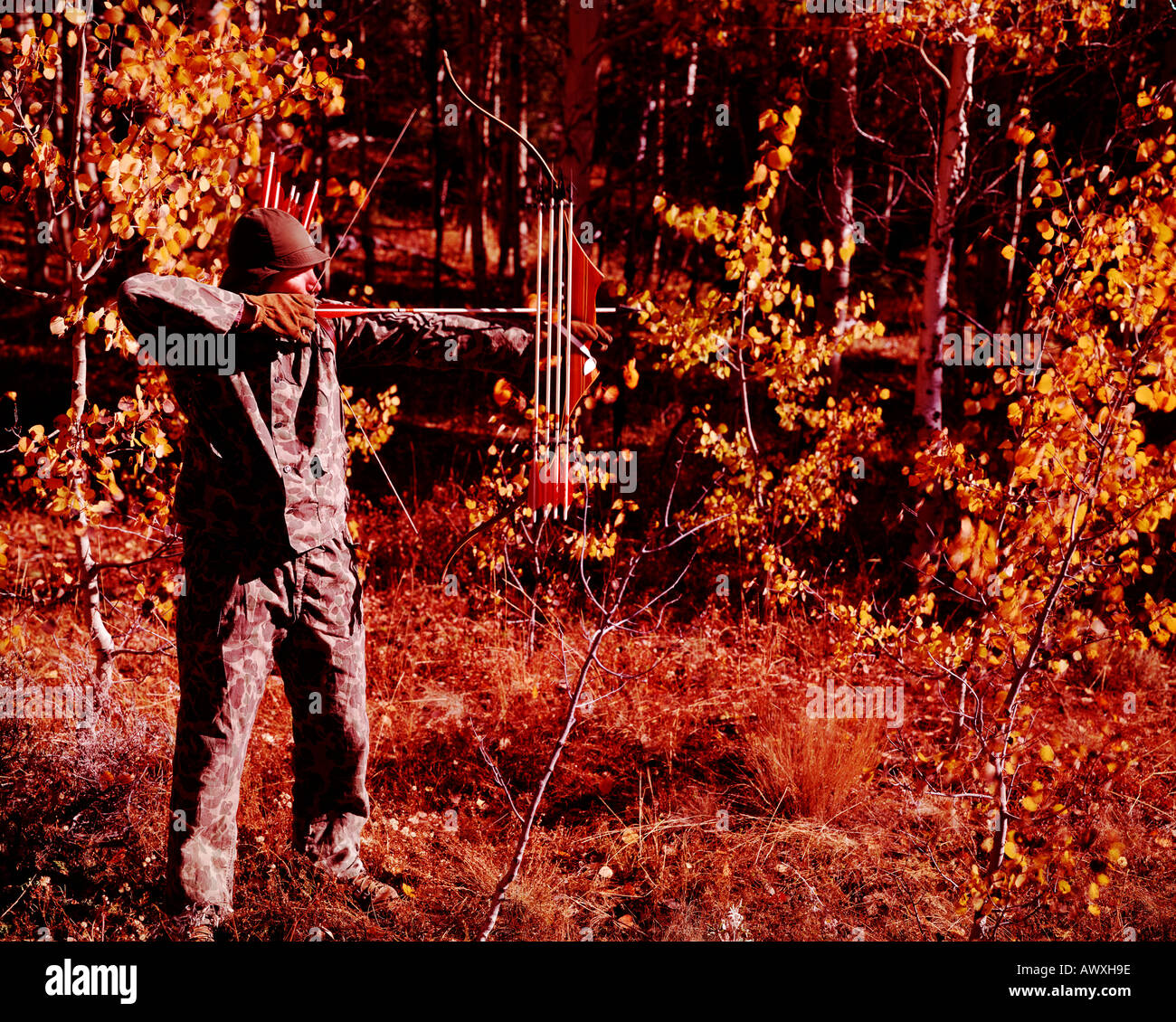 Hunter bow hi-res stock photography and images - Alamy