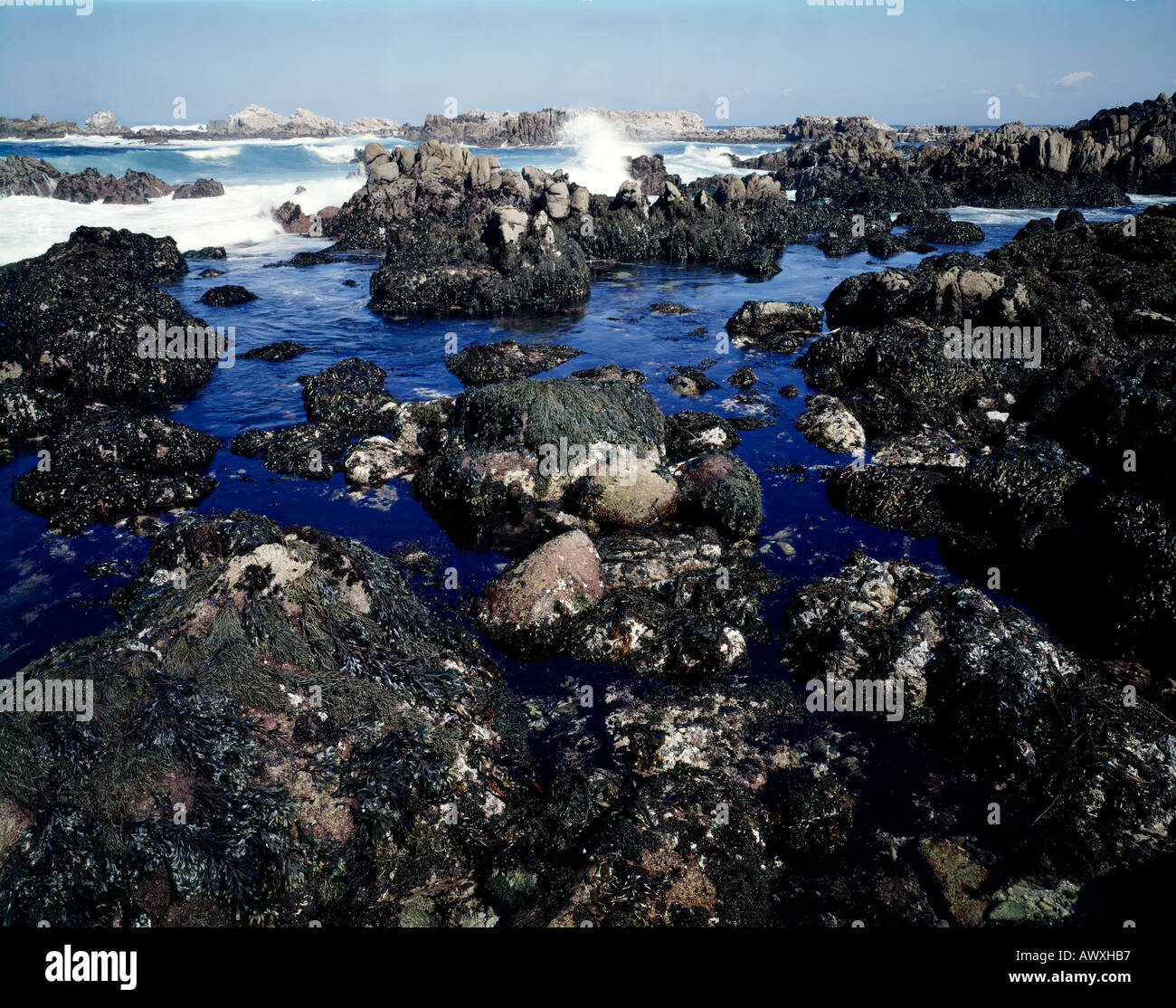 Tidepools on the rocky shoreline of the Monterey Peninsula in ...