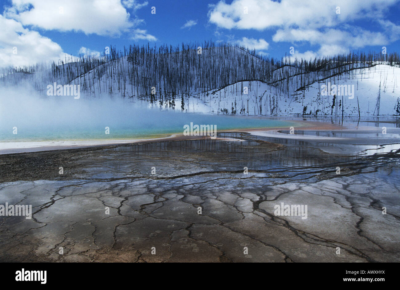 USA, Wyoming, Yellowstone National Park, Grand Prismatic Spring, mist ...