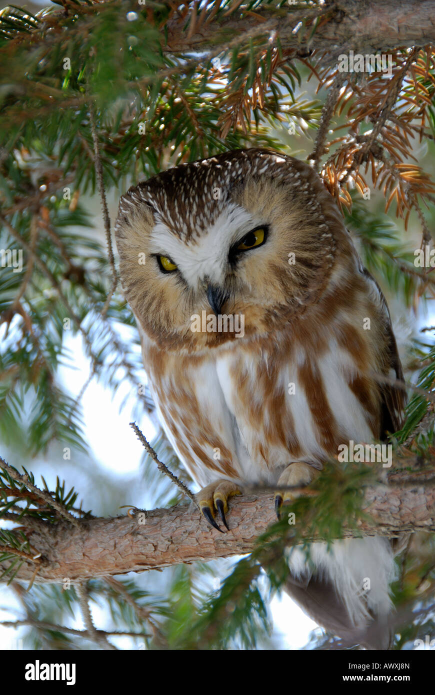 Leslie street spit hi-res stock photography and images - Alamy