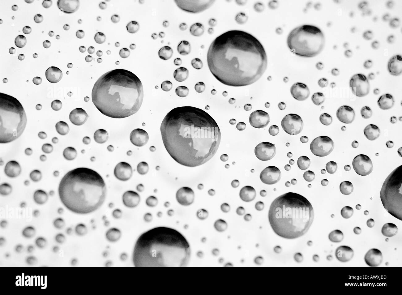 Spherizing hi-res stock photography and images - Alamy