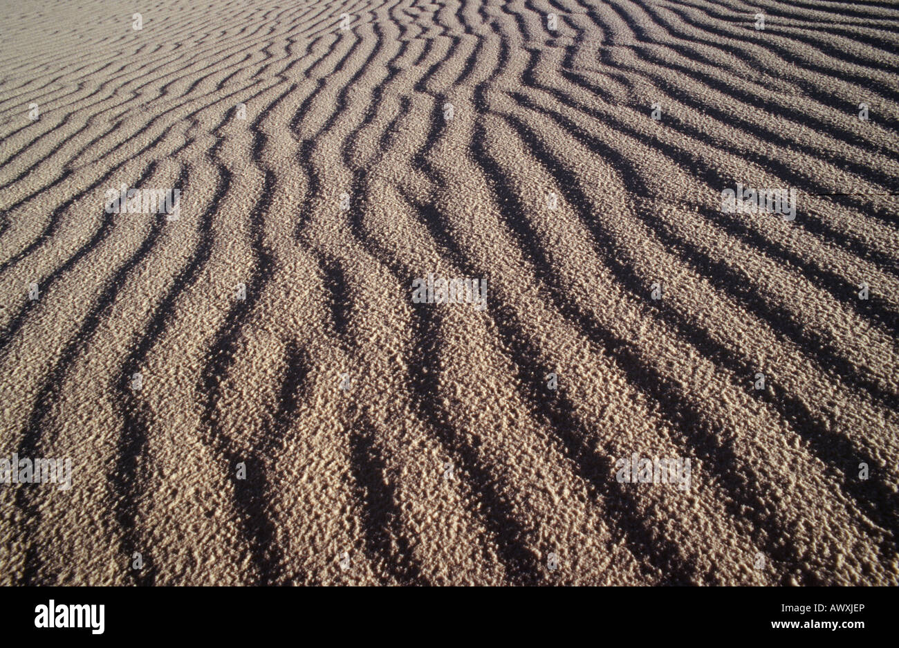 USA, New Mexico, White Sands National Park, rippled sand dune Stock ...