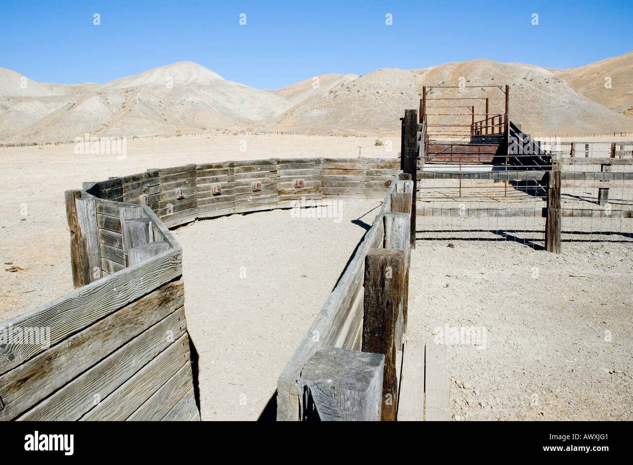 Cattle loading ramp hi-res stock photography and images - Alamy
