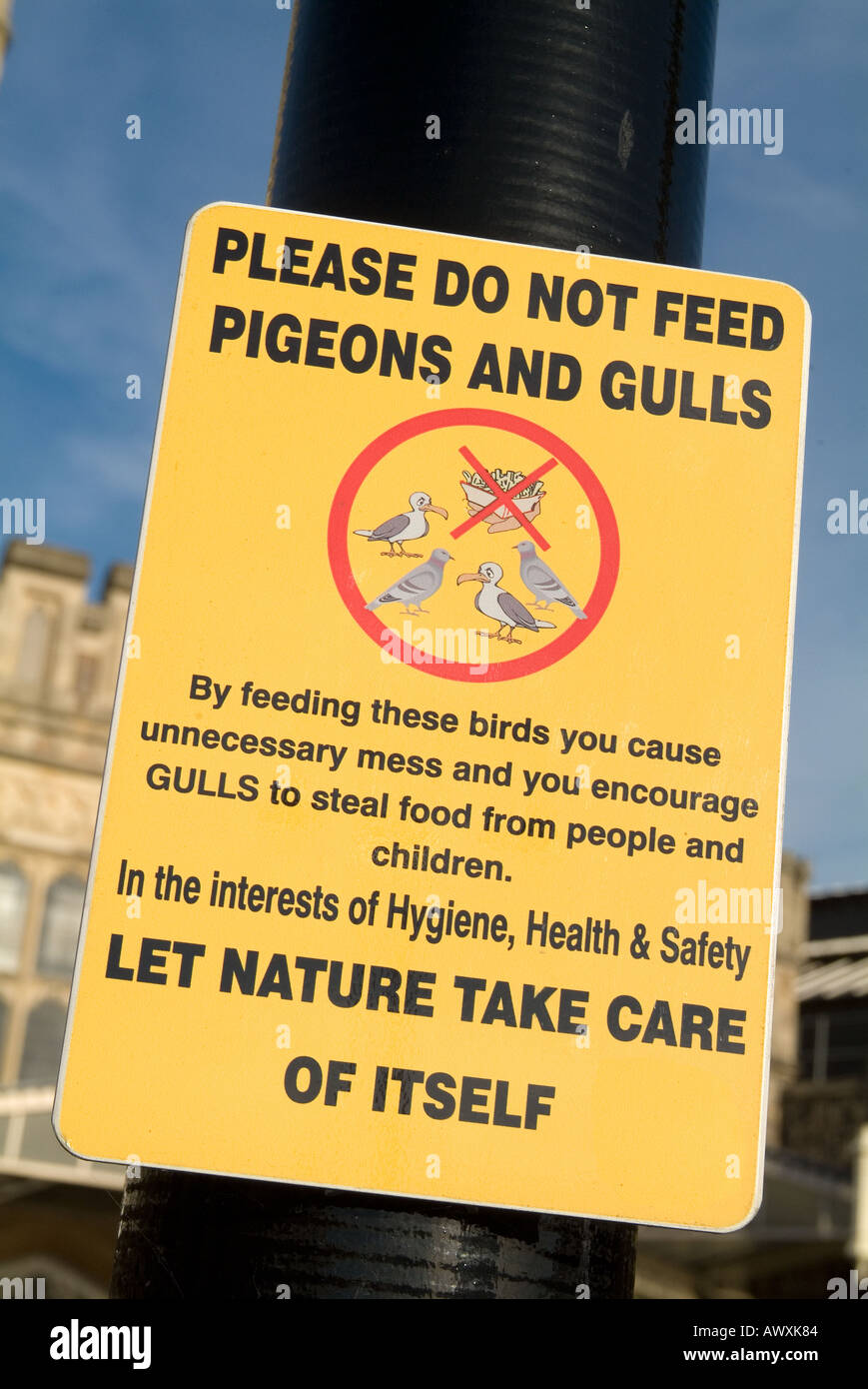 Do not feed Pigeons & Gulls Sign, Bristol, UK Stock Photo - Alamy