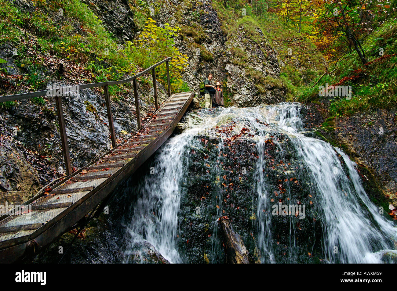 Ladders and Waterfalls of autumnal Horne Diery Gorge, Mala Fatra ...