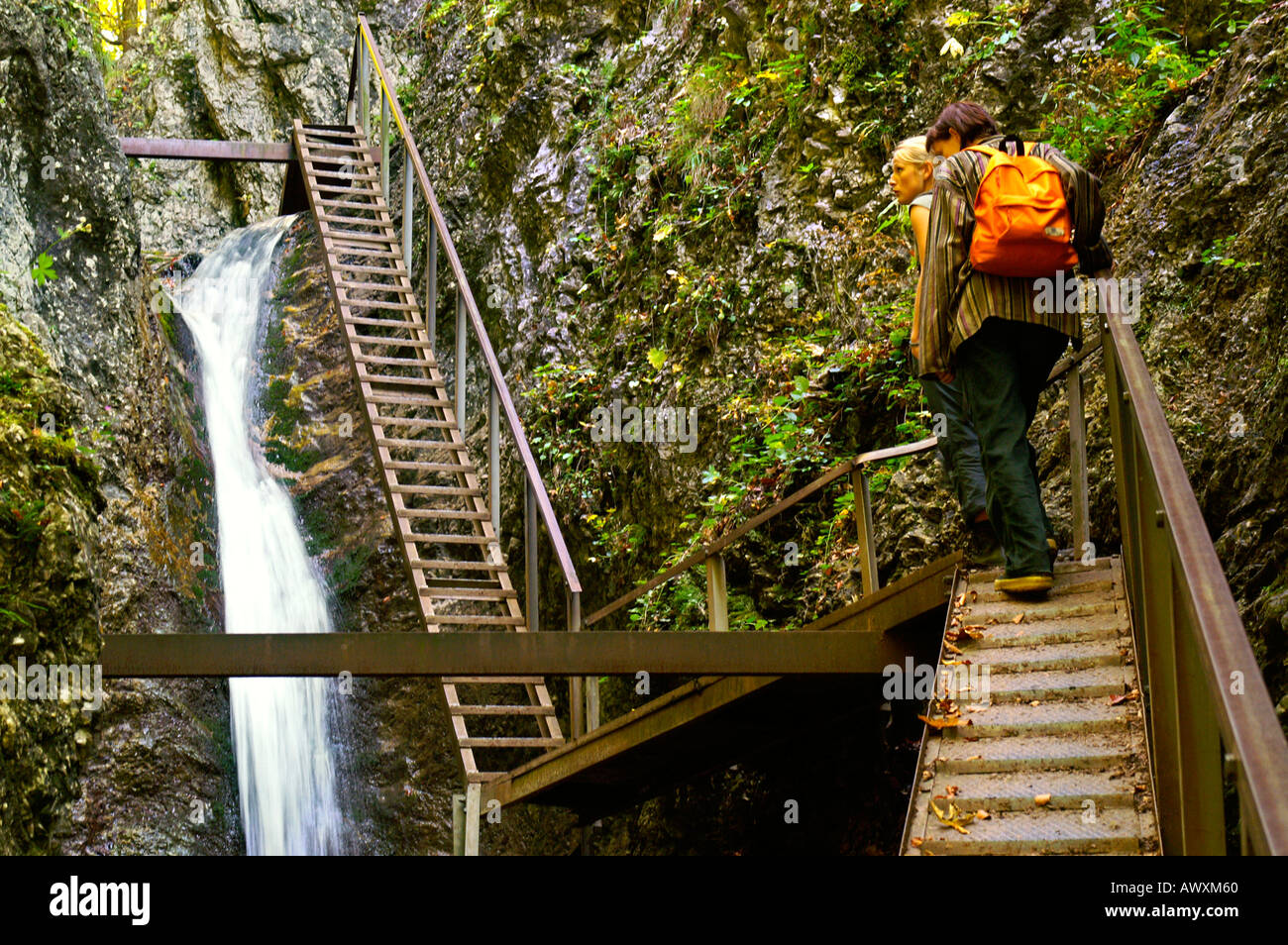 Ladders and Waterfalls of autumnal Horne Diery Gorge, Mala Fatra ...