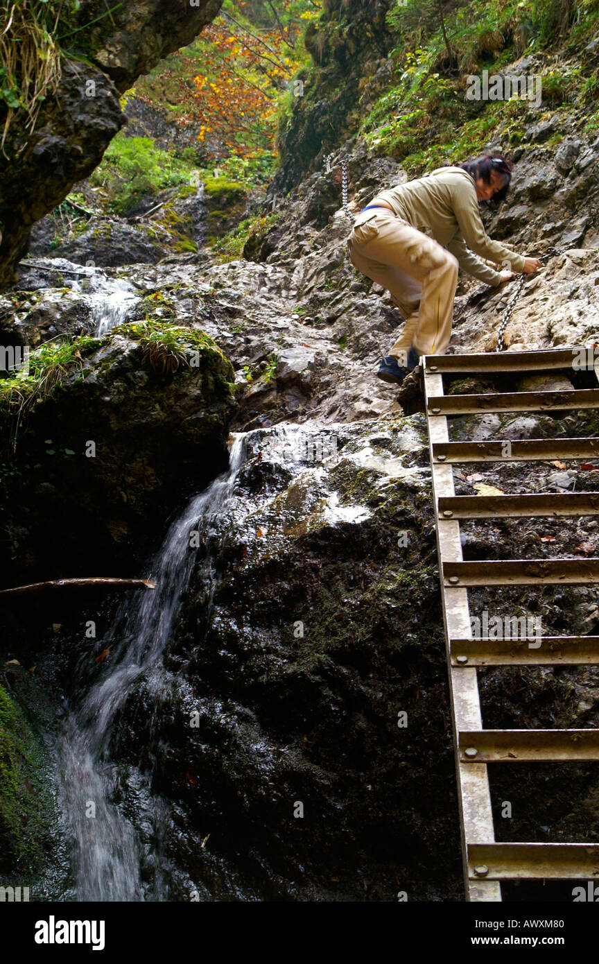 Ladders and Waterfalls of autumnal Horne Diery Gorge, Mala Fatra ...