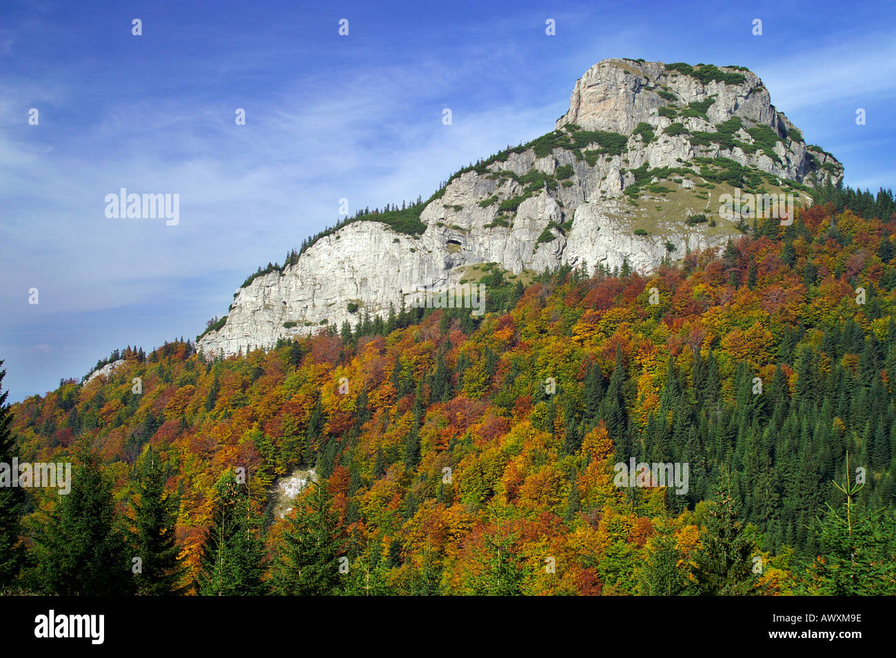 Limestone Cliff, Summit of Maly Rozsutec mountain, Mala Fatra range ...