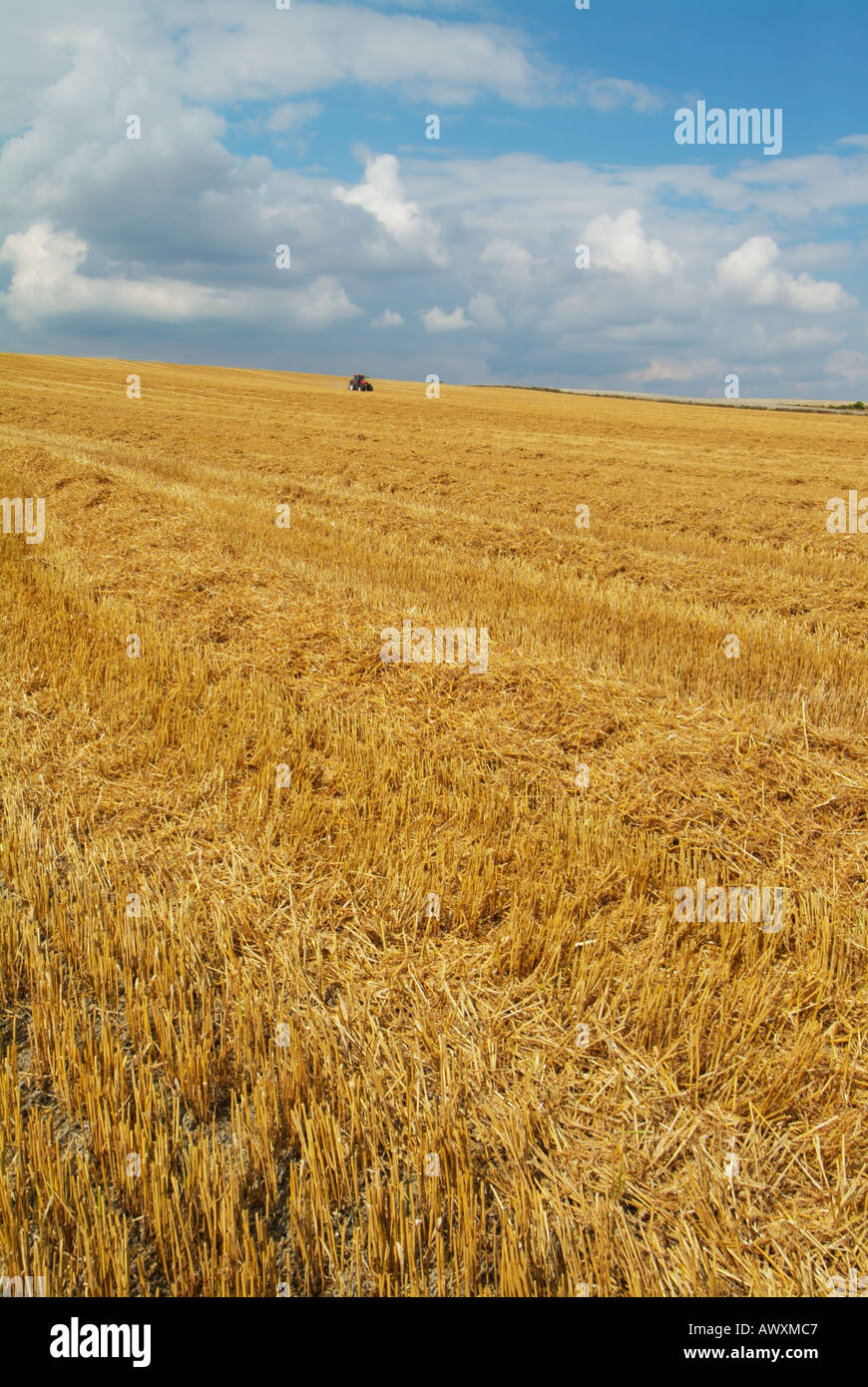 A field of stubble and stalks after harvesting wiltshire england uk gb ...