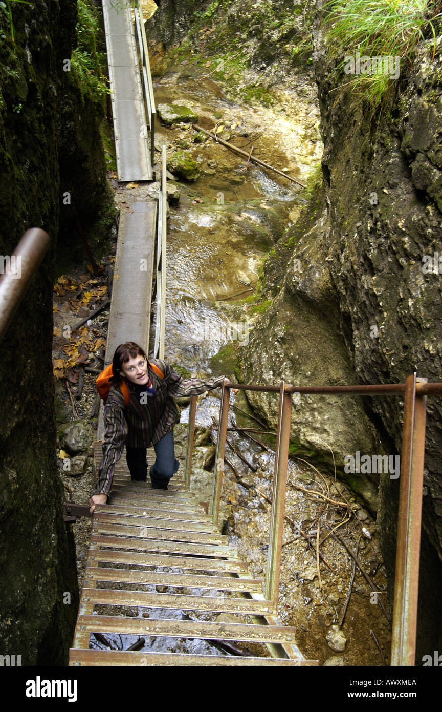 Woman falls ladder hi-res stock photography and images - Alamy