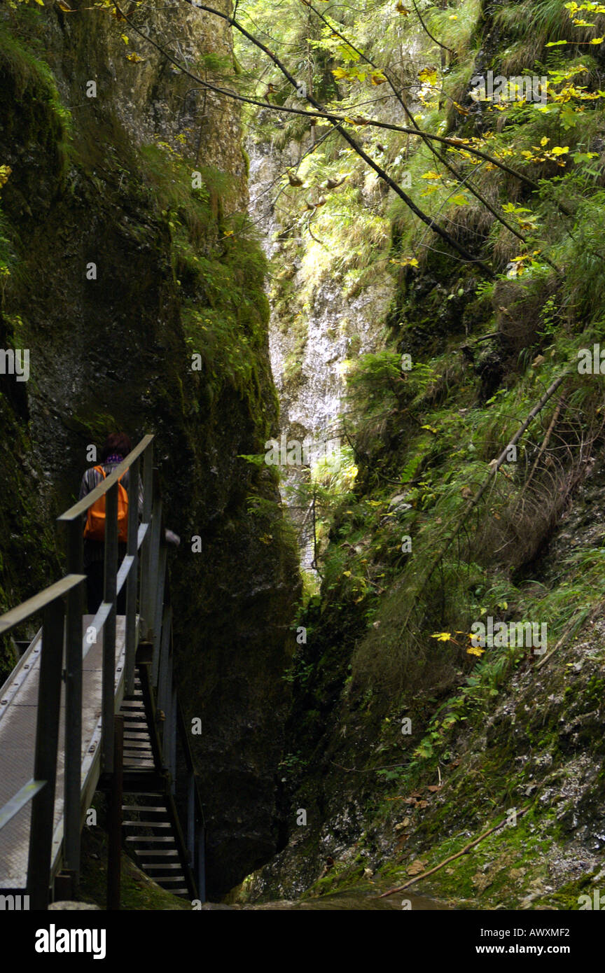 Ladders and Waterfalls of autumnal Horne Diery Gorge, Mala Fatra ...