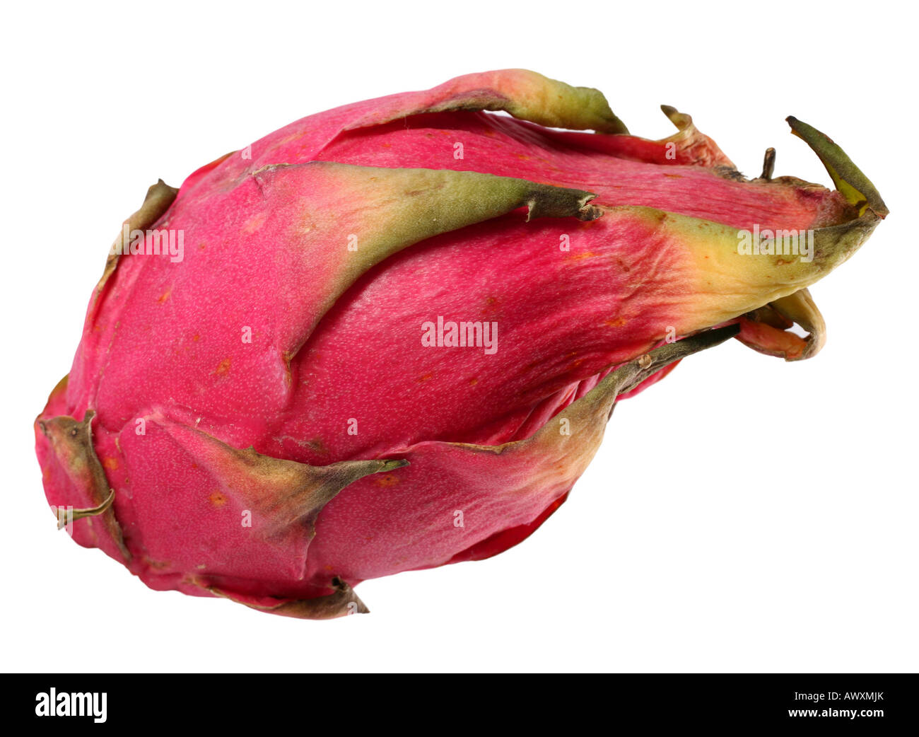 Pitahaya fruit detail isolated on white background Stock Photo - Alamy