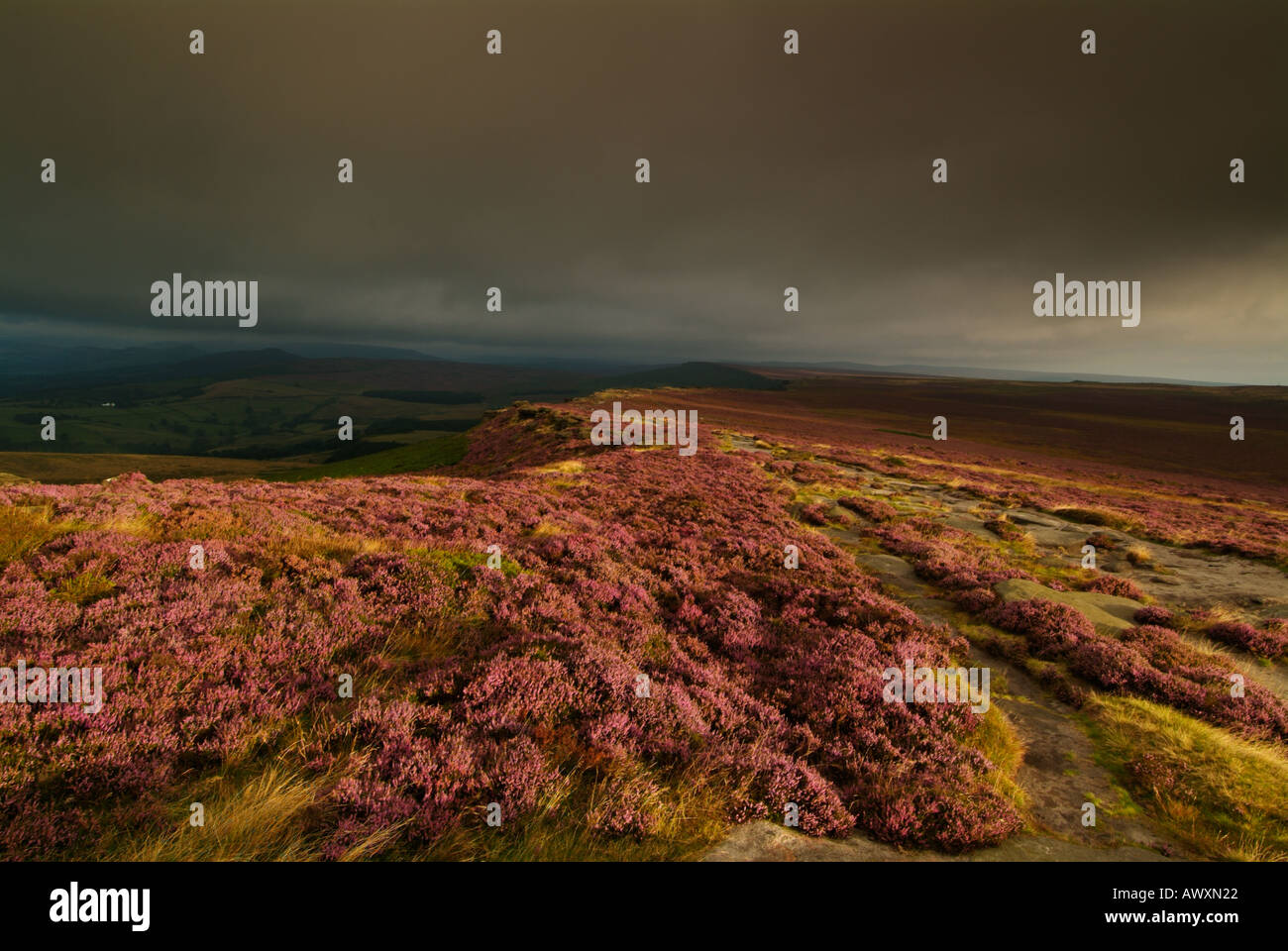 Stannage Edge dawn Hathersage Derbyshire Peak District National Park ...