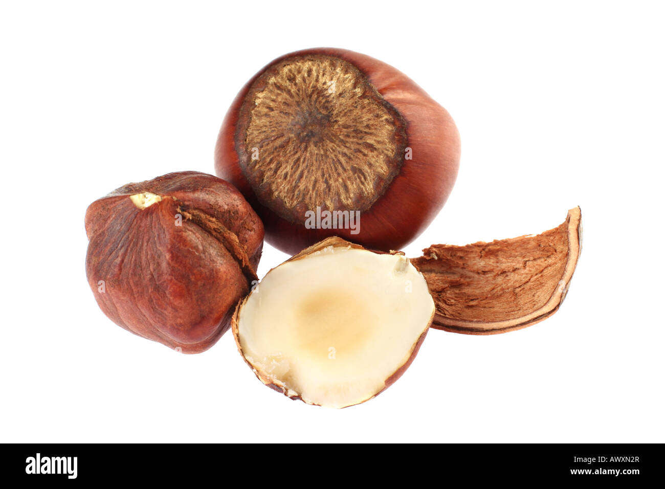 Hazel nut group isolated on white background Stock Photo - Alamy