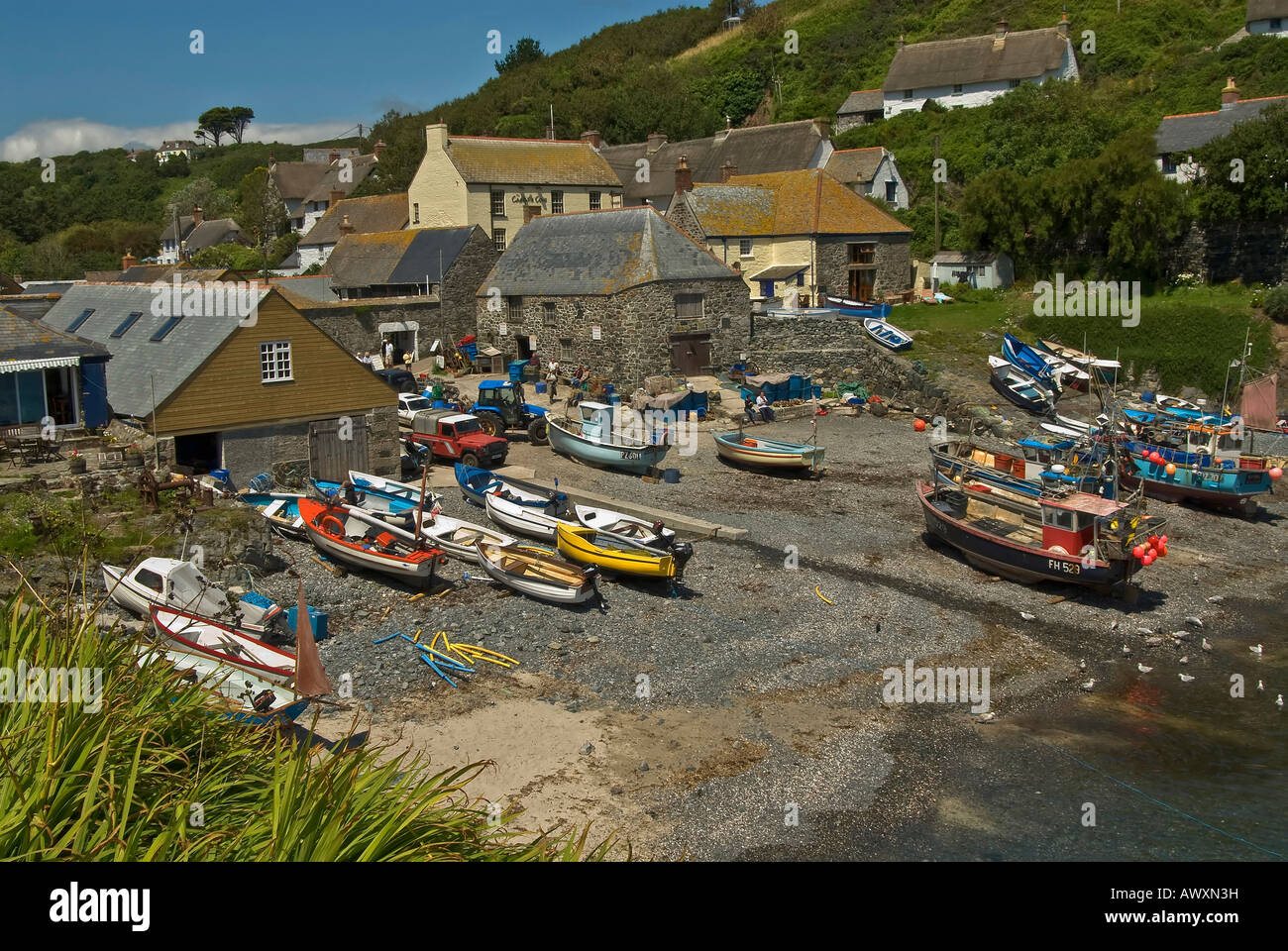 Cadgwith cove, cornwall Stock Photo - Alamy