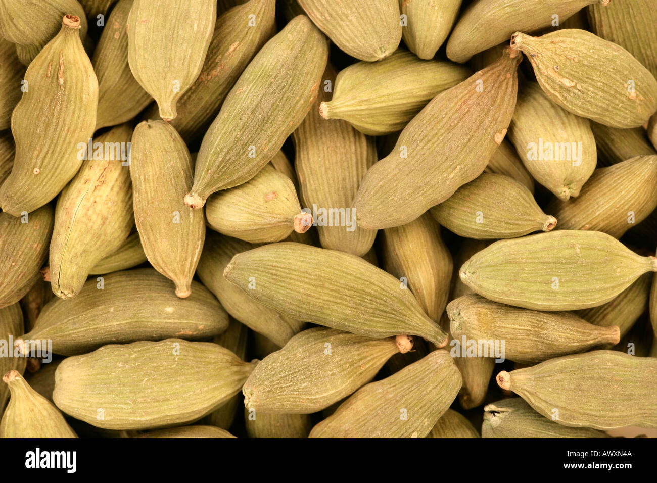 Cardamom seed capsule hi-res stock photography and images - Alamy