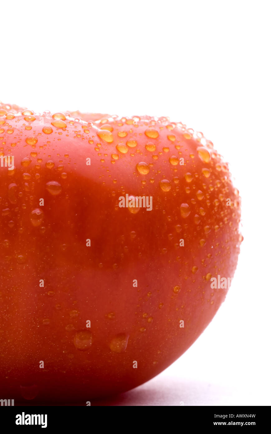 macro of a fresh red tomato on a white background Stock Photo - Alamy