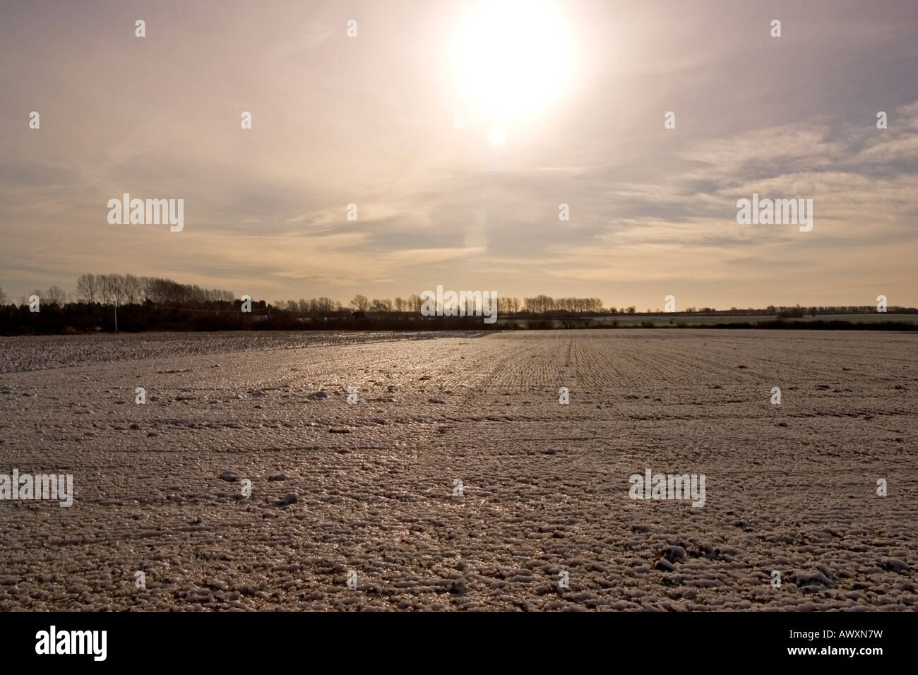 sun over icy norfolk field Stock Photo - Alamy