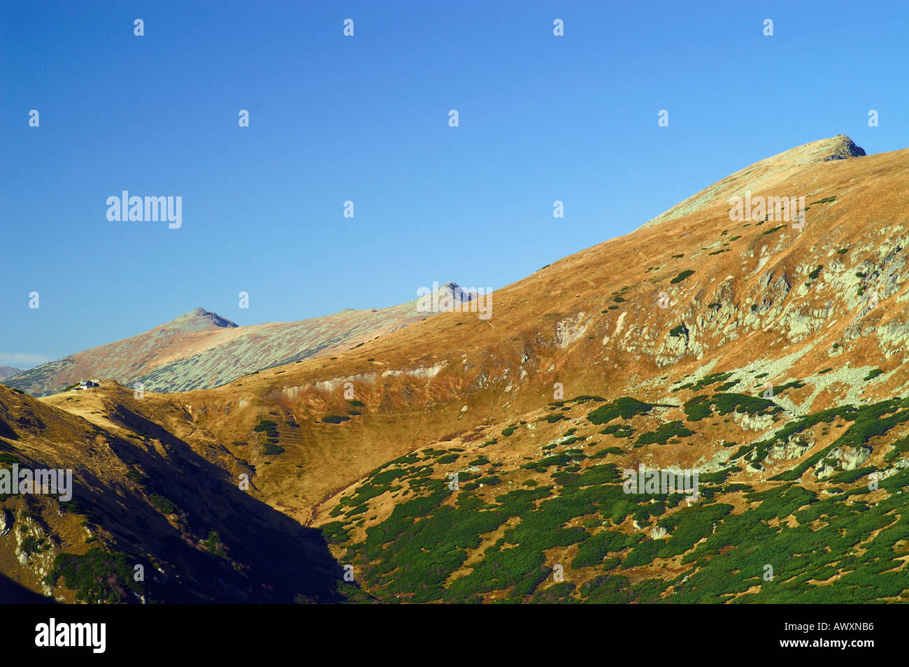 Derese hi-res stock photography and images - Alamy