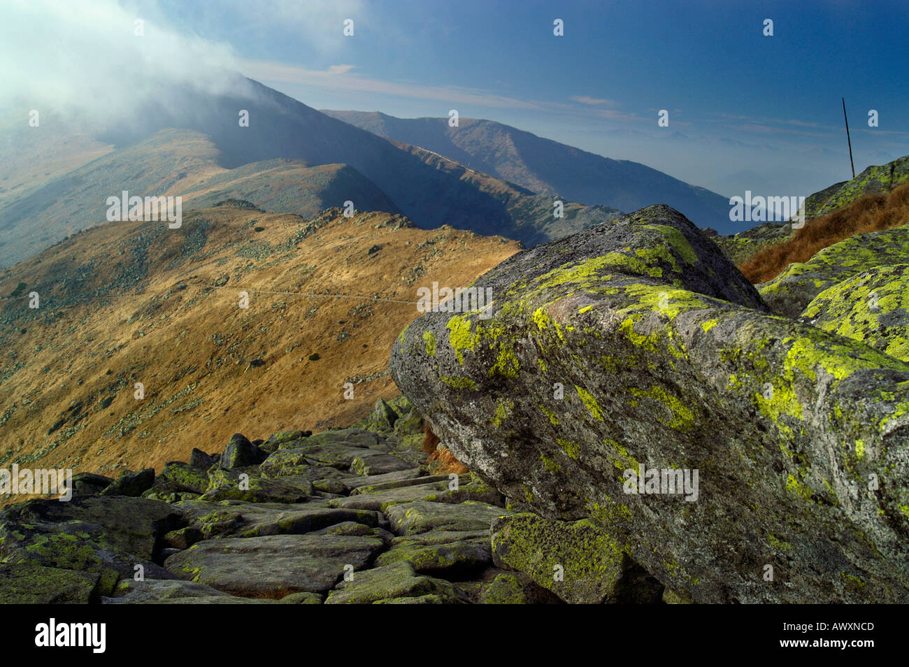Mt. Chopok, central Nizke Tatry Mountains national park, Slovakia Stock ...