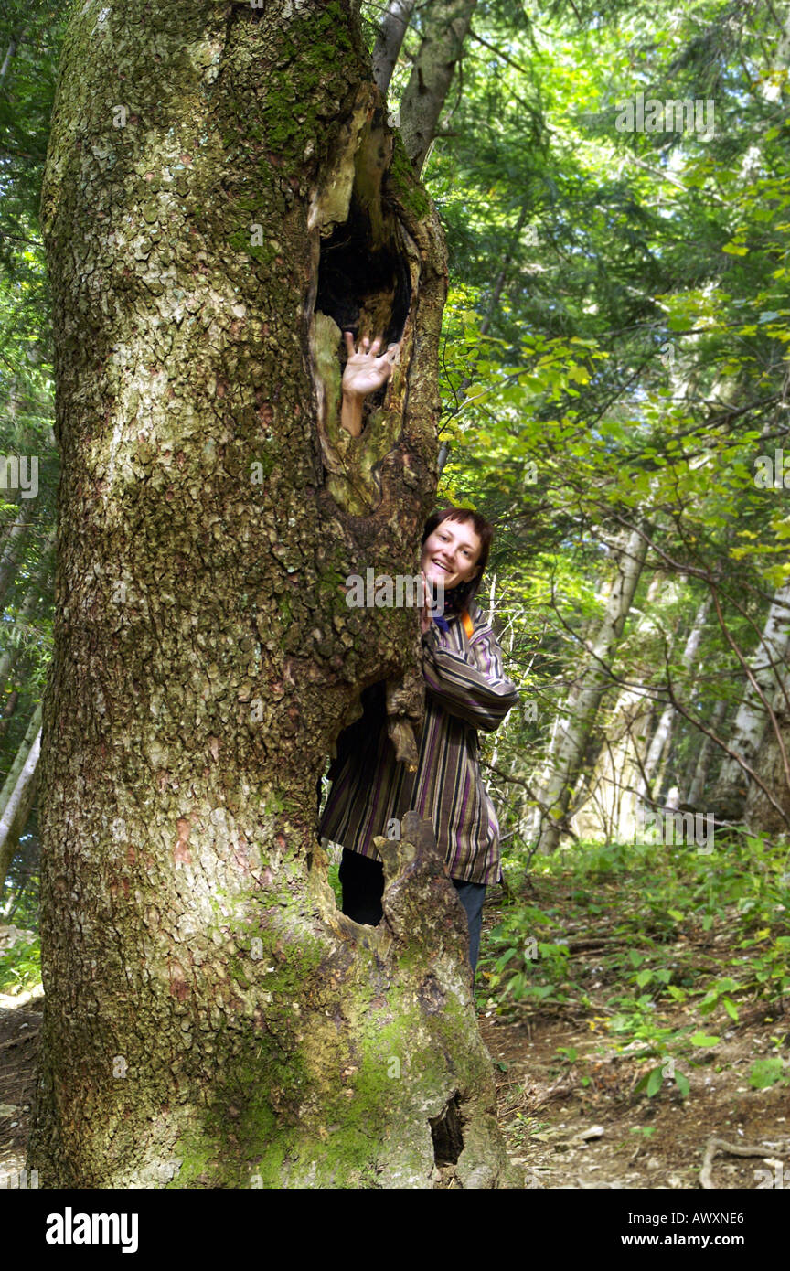 Happy girl poking her hand through hollow tree trunk Stock Photo - Alamy