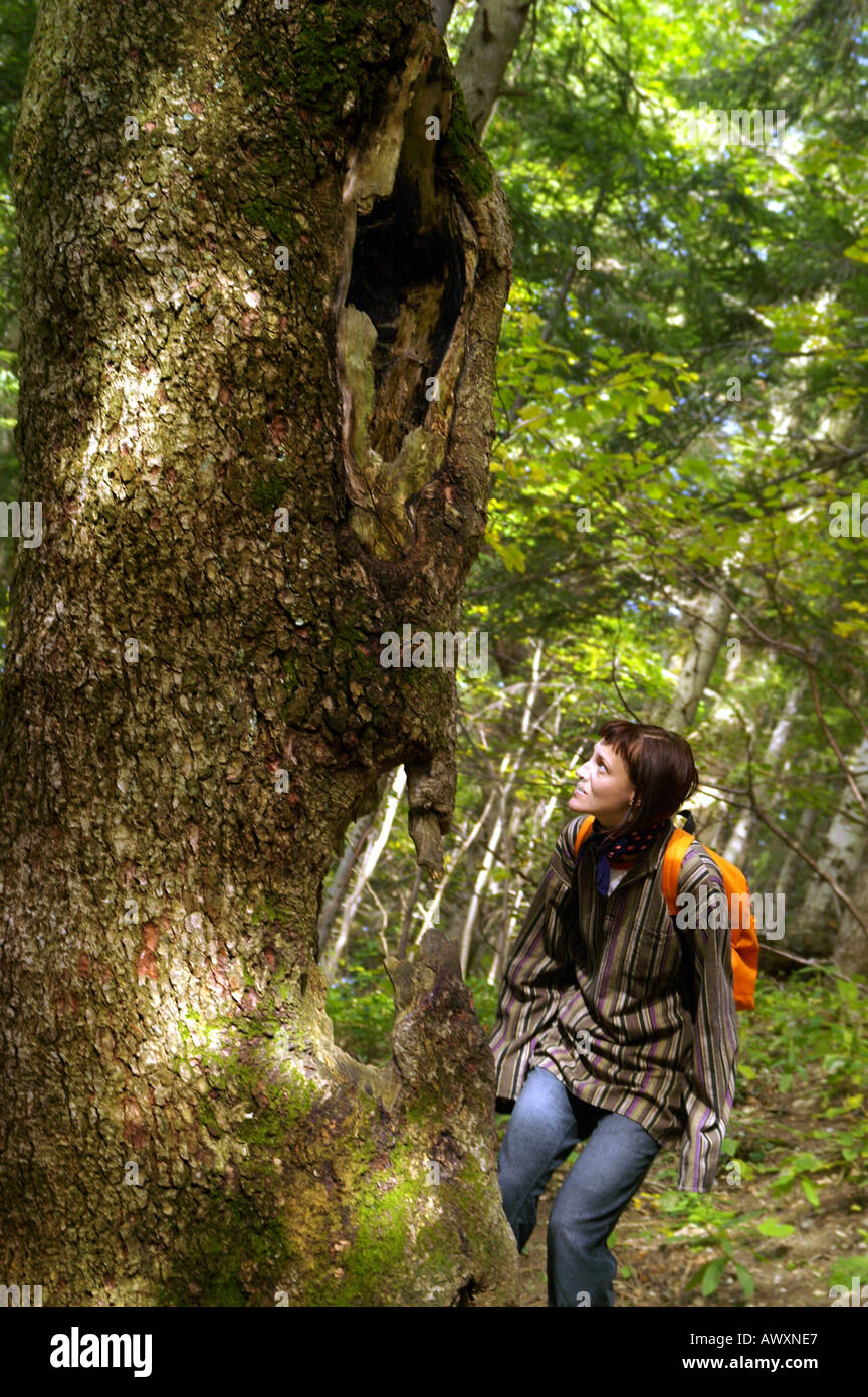Scared Girl Hiding Behind Tree