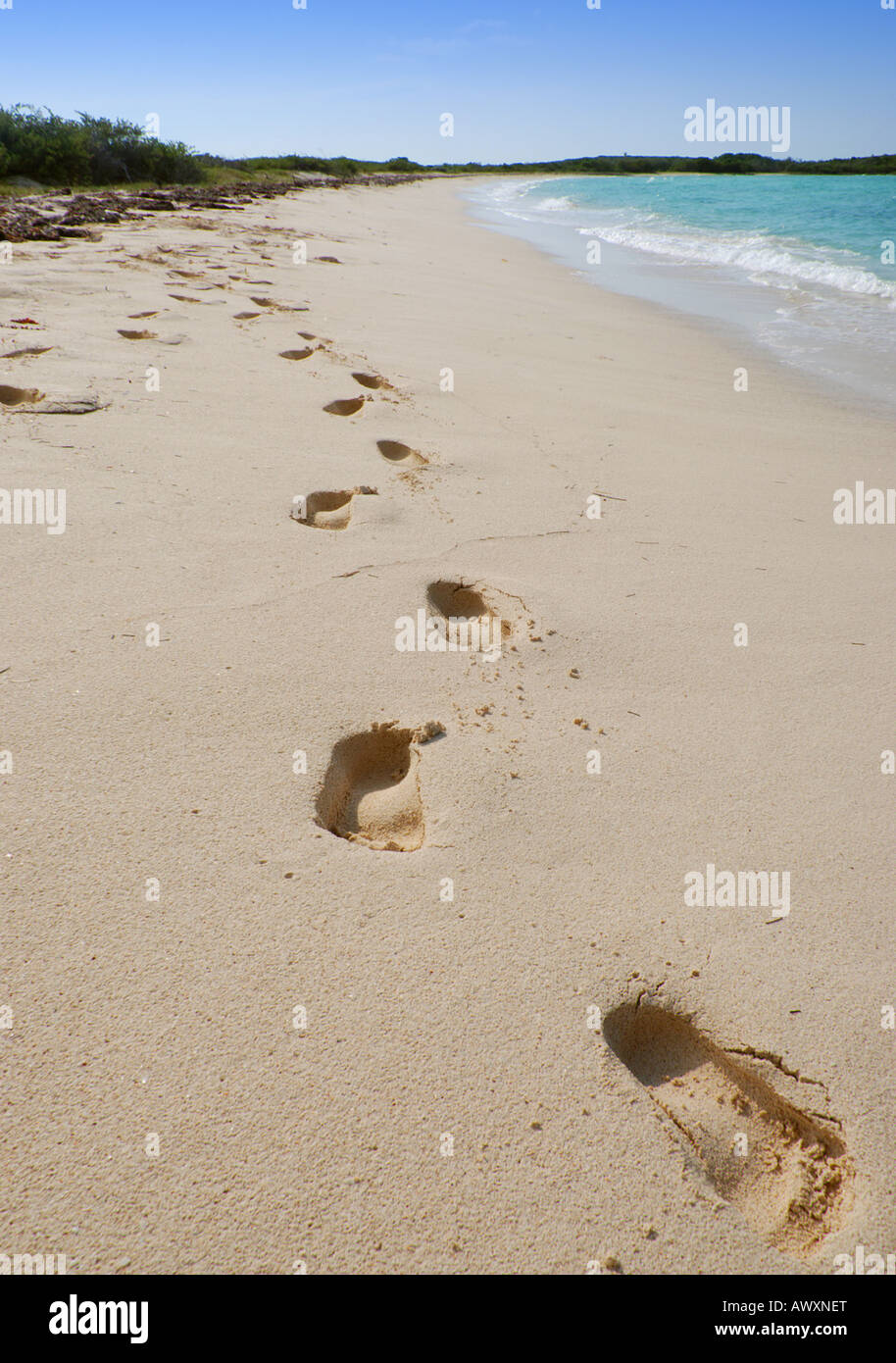 Footprints in the beach sand along the ocean coastline Stock Photo - Alamy