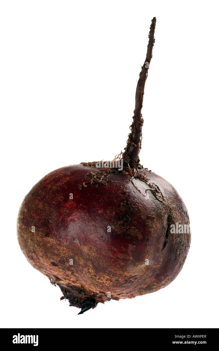 Beet purple vegetable isolated on white background Stock Photo - Alamy