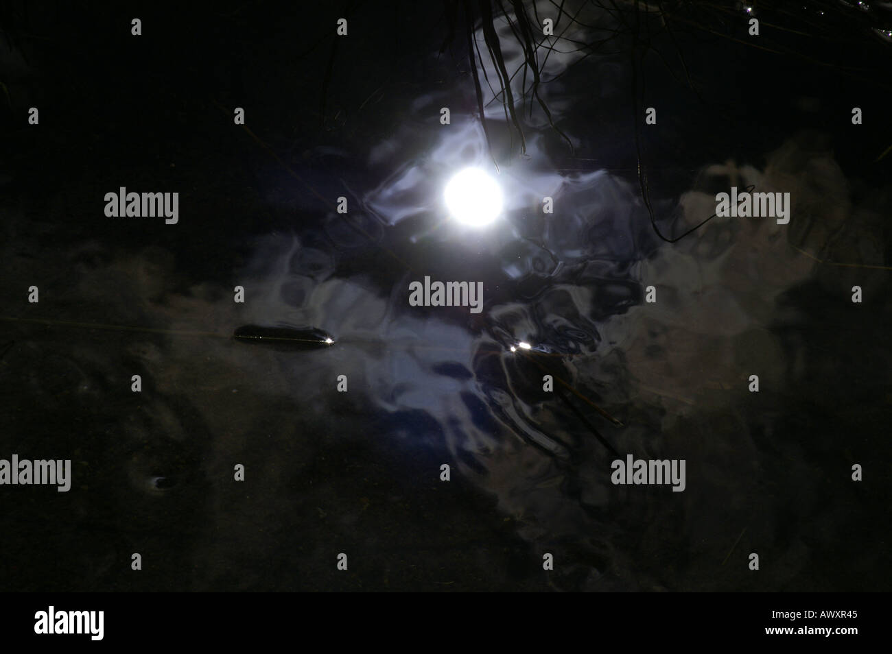 Light Sun reflection on Water Surface Stock Photo - Alamy