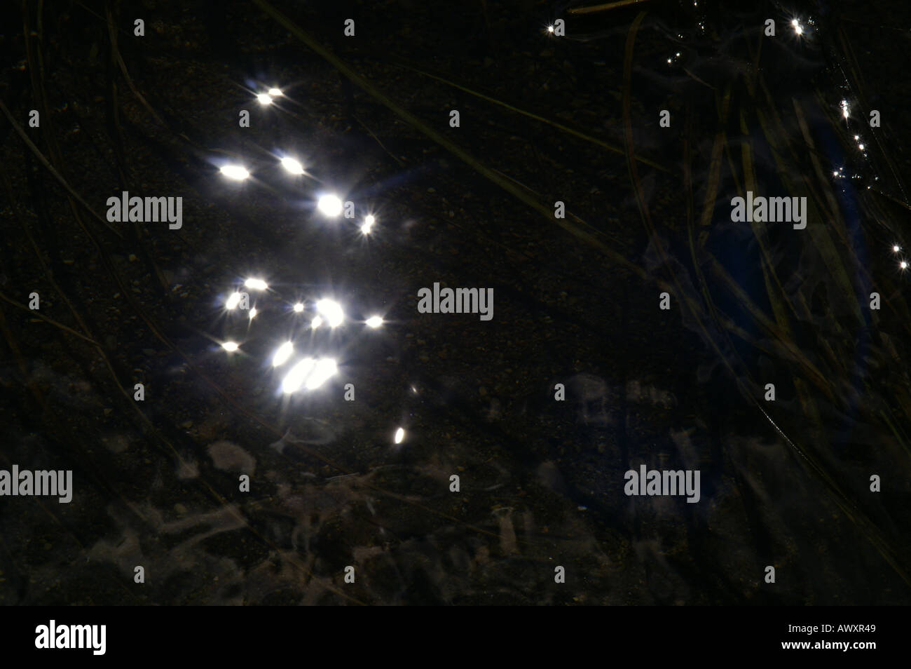 Light Sun reflection on Water Surface Stock Photo - Alamy