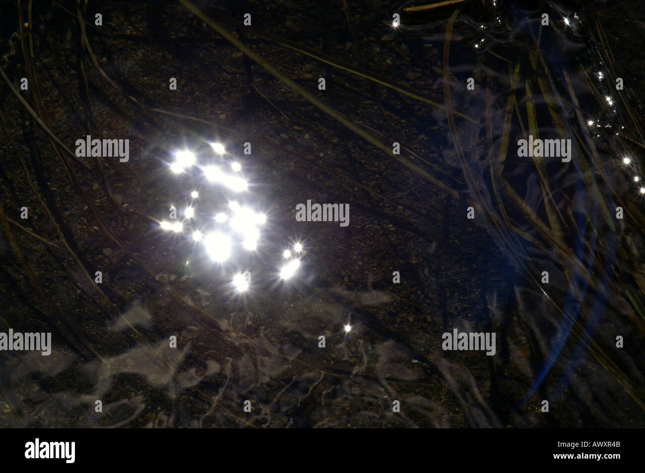 Light Sun reflection on Water Surface Stock Photo - Alamy