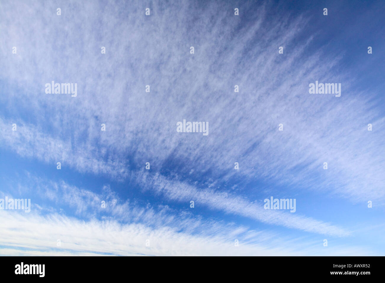High level cirrus cloud Stock Photo - Alamy