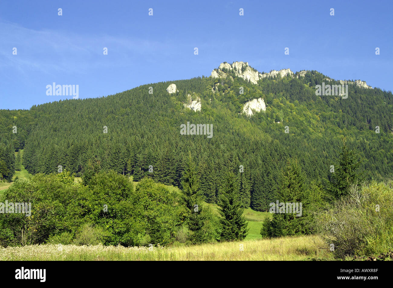Sharp jagged limestone cliffs, Mount Salatin slope, Nizke Tatry ...