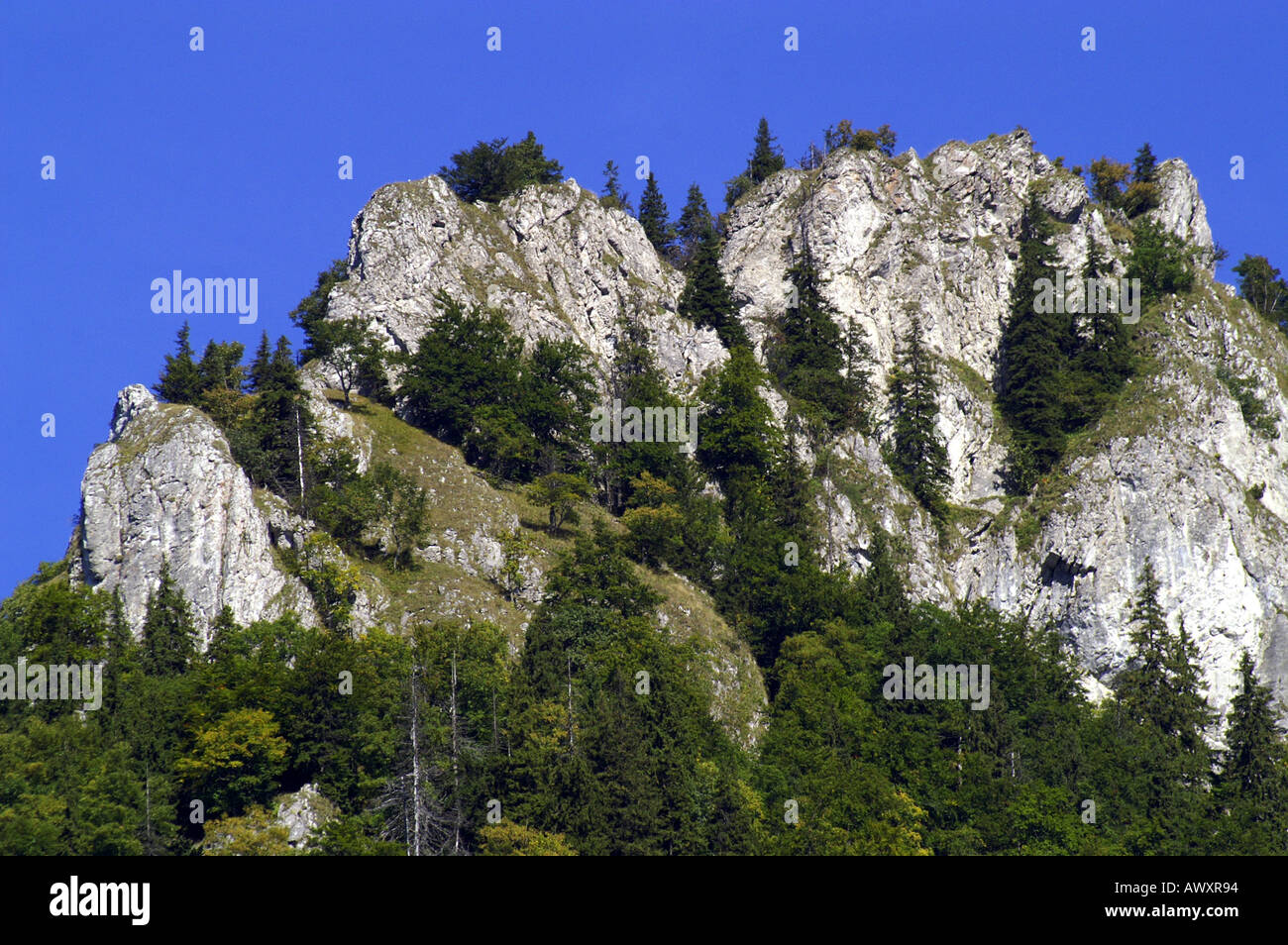 Sharp jagged limestone cliffs, Mount Salatin slope, Nizke Tatry ...