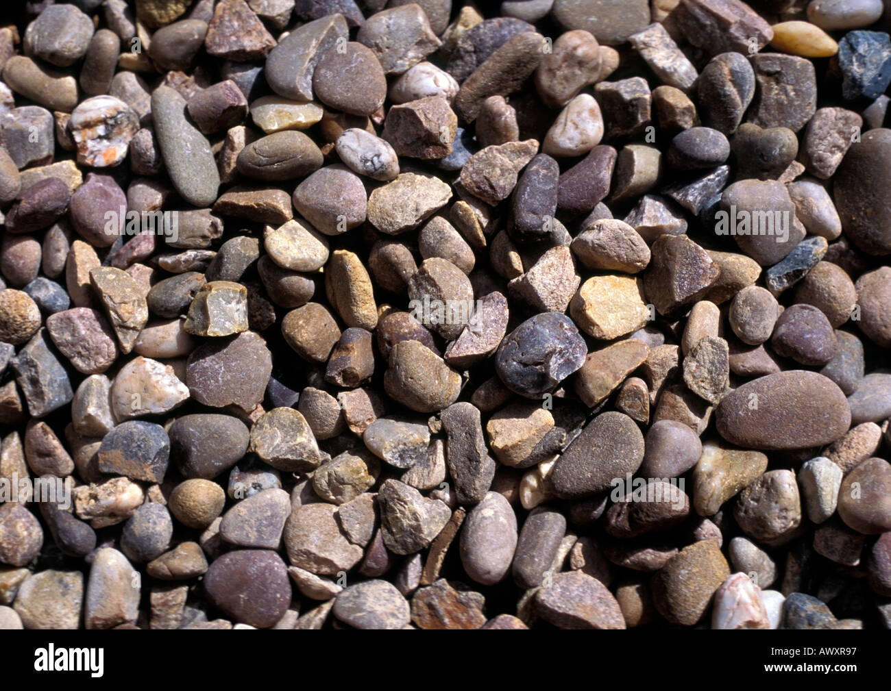 Golden pebbles and gravel Stock Photo - Alamy