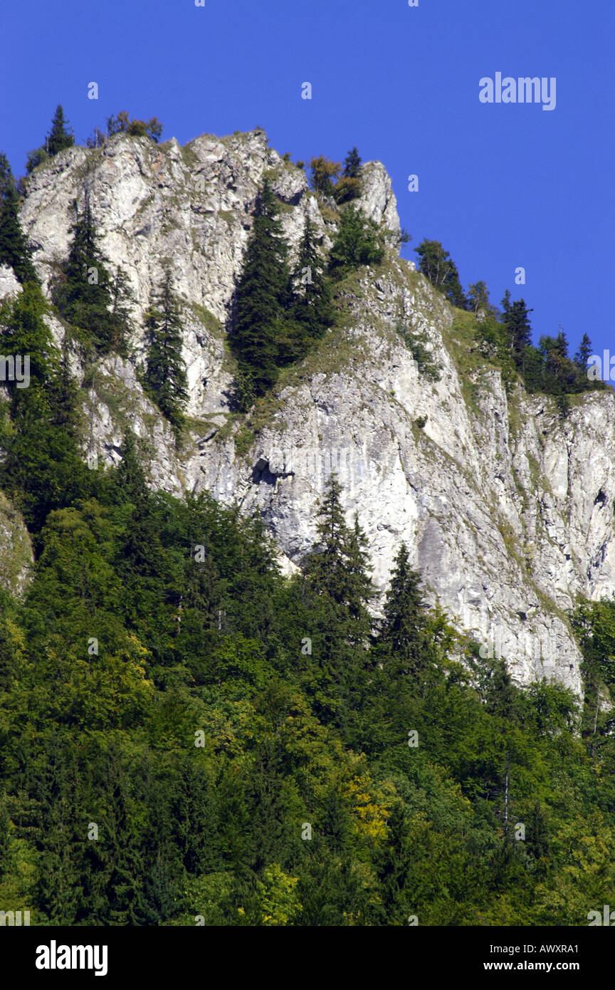 Sharp jagged limestone cliffs, Mount Salatin slope, Nizke Tatry ...