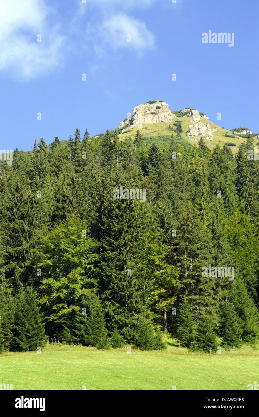 Sharp jagged limestone cliffs, Mount Salatin slope, Nizke Tatry ...