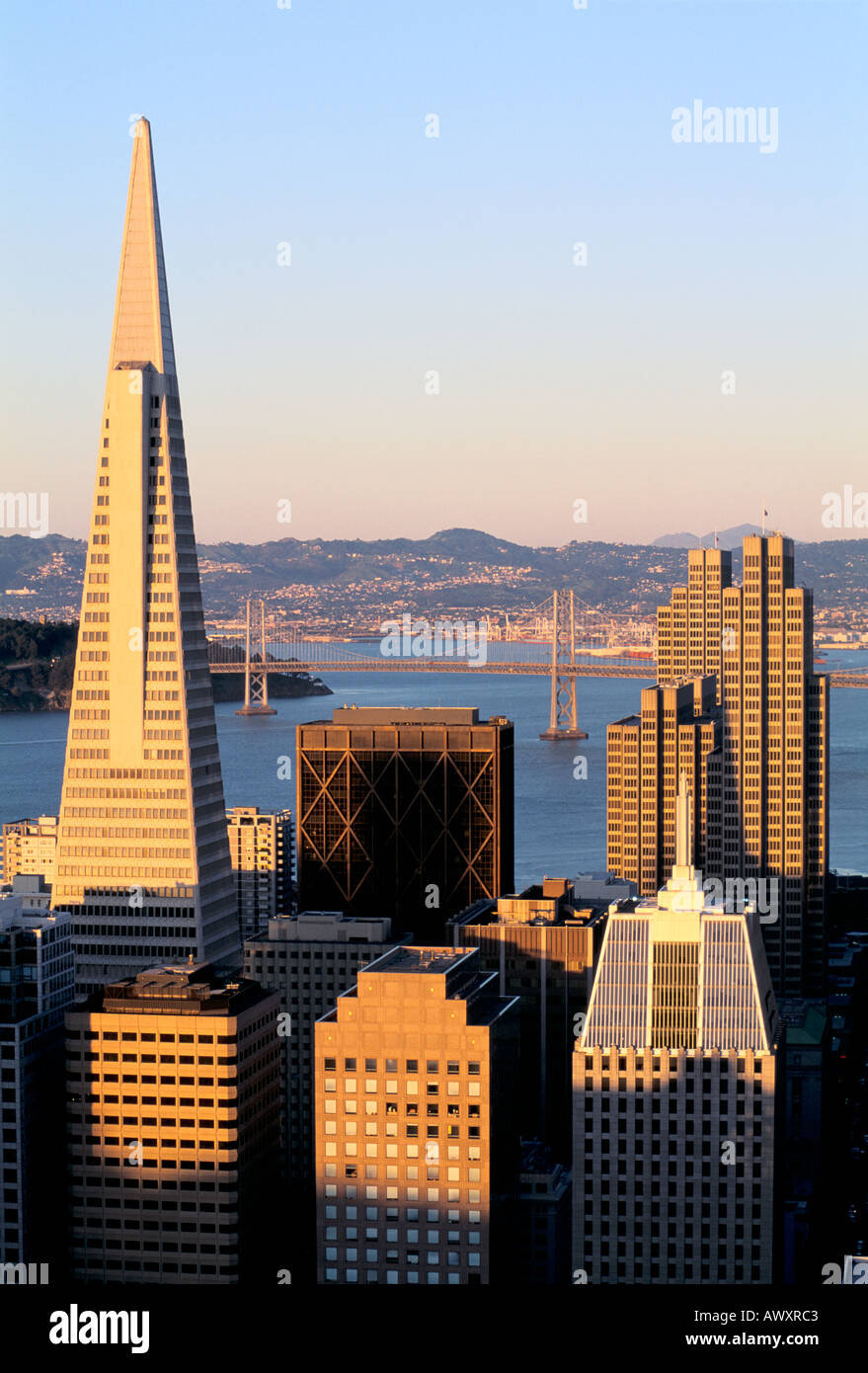 San Francisco, CA, USA, Financial District, Trans America pyramid ...