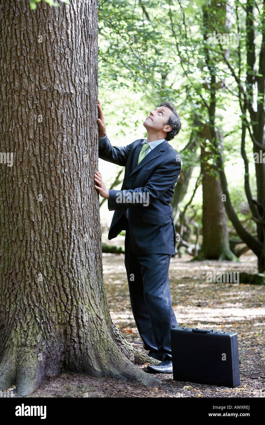 Business man stroking tree bark, looking up Stock Photo - Alamy