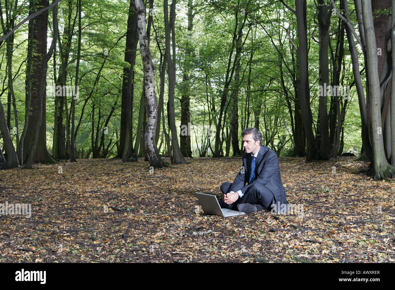 Man Working On Laptop And Forest High Resolution Stock Photography and ...