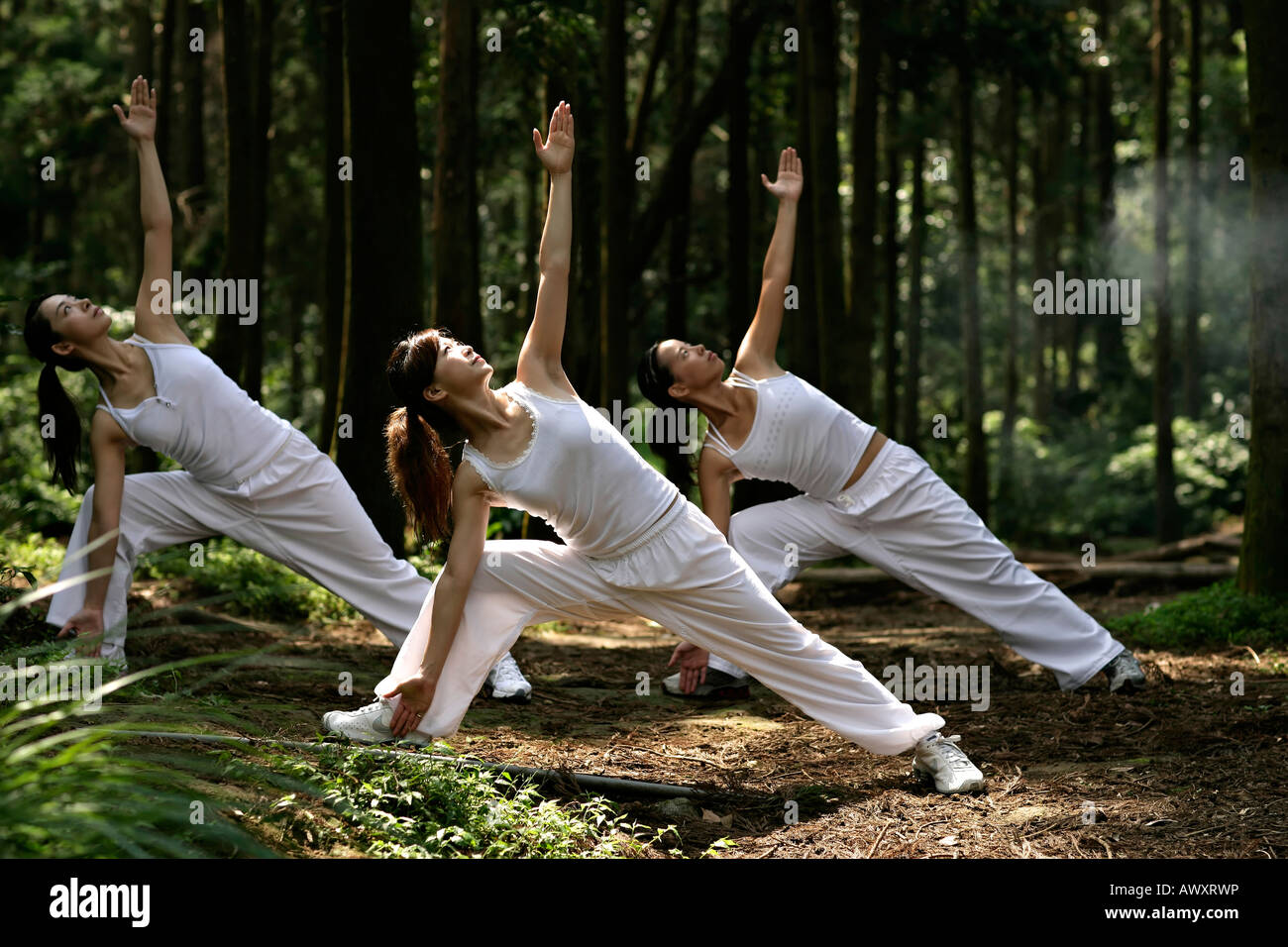 young women practice yoga in forest Stock Photo - Alamy
