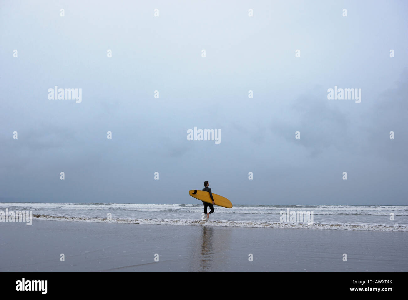 Surfer walking into water, back view Stock Photo - Alamy