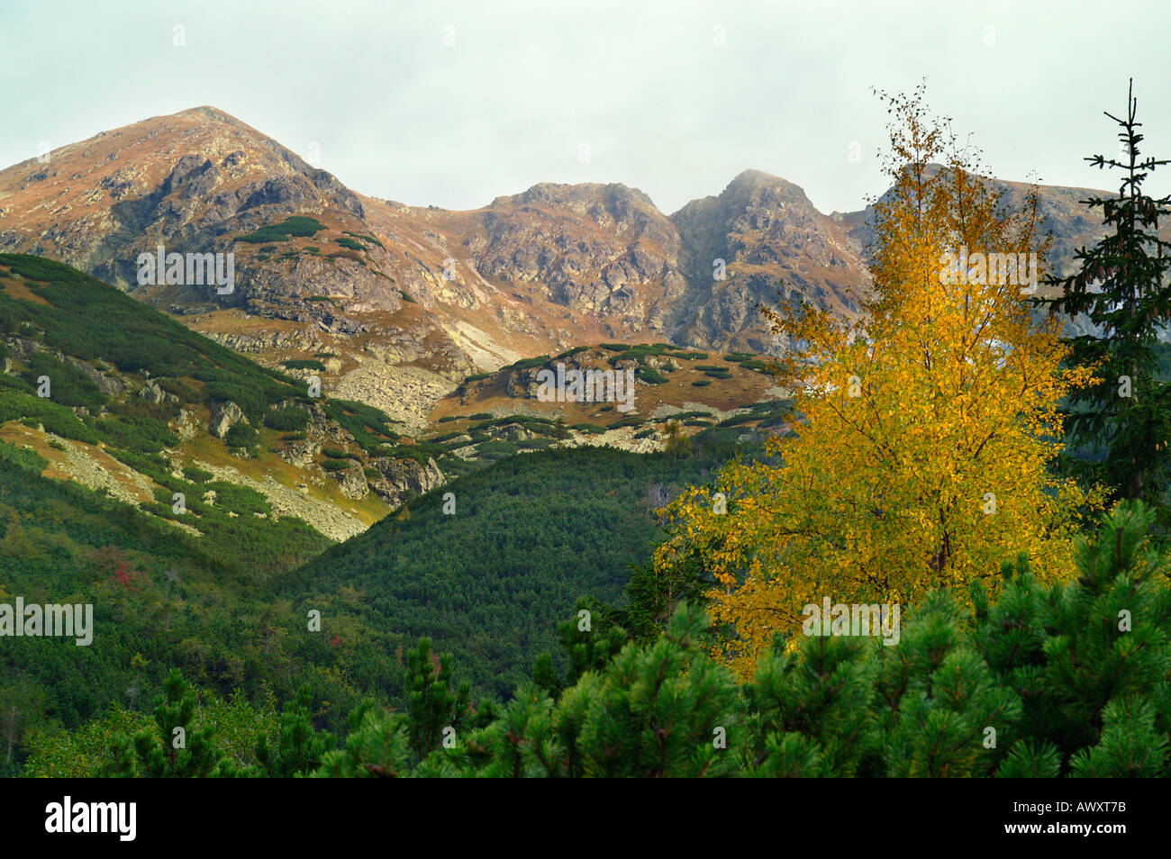 West Tatras mountains, Mount Banikov, Mount Placlive and Mount Tri Kopy ...