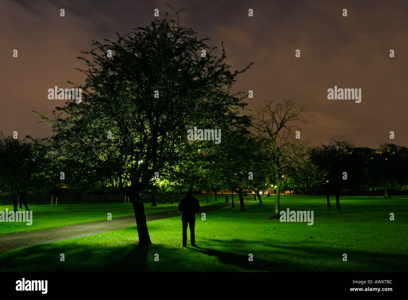 man stood under a tree in a park at night looking out towards a path ...